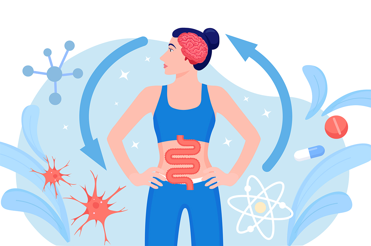 What Is Gut Health And How Can Your Primary Care Doctor Help ...